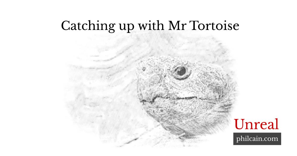 An interview with Mr Tortoise